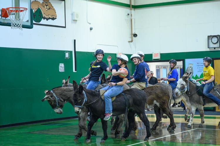 Donkey Basketball returns, hilarity ensues | News ...