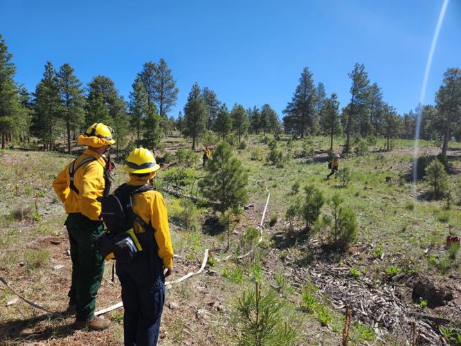 Wildfire response: How agencies work together | News ...