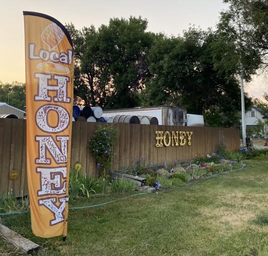 Bees are abuzz at Sunshine Apiary | News | stillwatercountynews.com