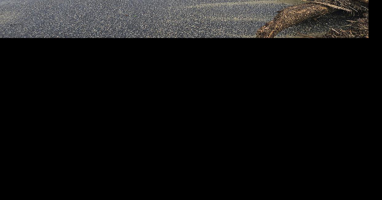Flash floods shut down Rapelje Road, Centennial and Highway 10 | Local ...