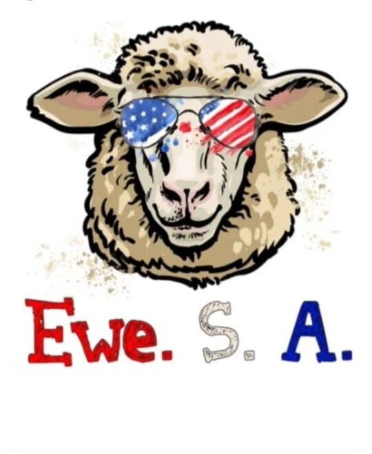 Volunteers gear up for 37th annual Reed Point Sheep Drive | News ...