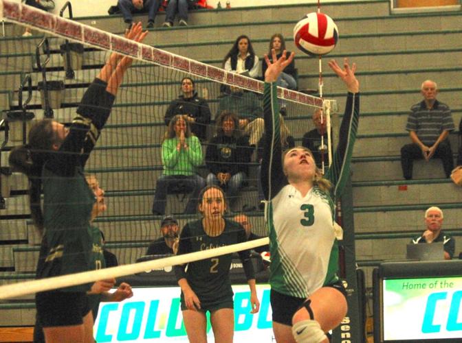 Columbus Lady Cougars are headed to State! | Sports ...