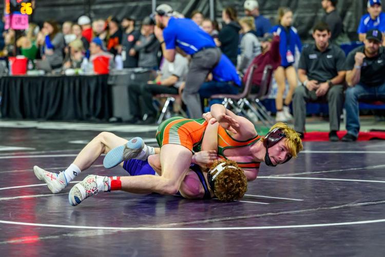 Toughness on display: Three Cougars place at state wrestling | Sports ...