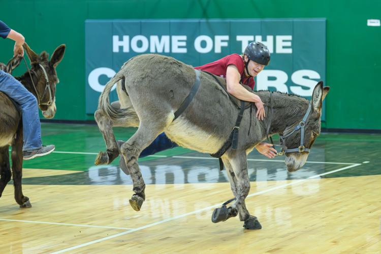 Donkey Basketball returns, hilarity ensues | News ...