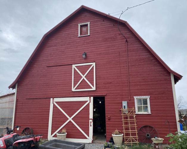 Red Barn Orchard 'Flower Season 2024' has begun | News ...