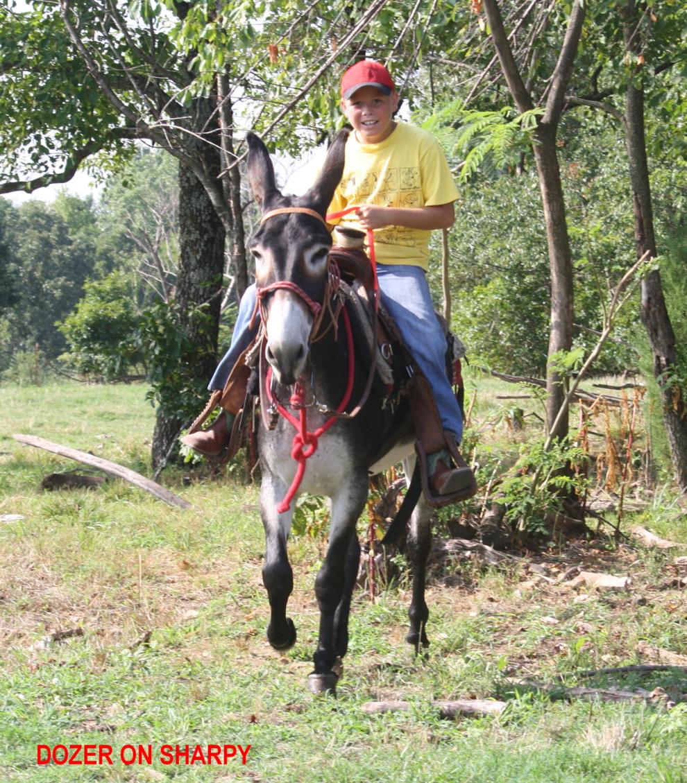 Local donkey to be on stamp | Calendar | stilwelldemocrat.com