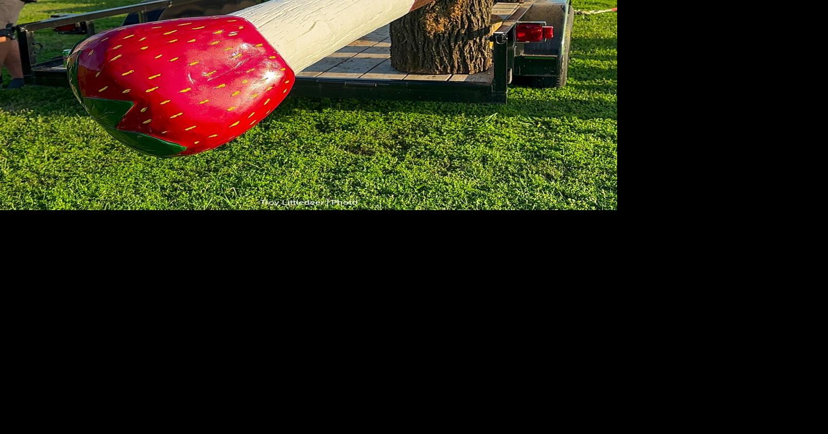 Cherokee Stickball installed at Edna M. Carson Community Park ...
