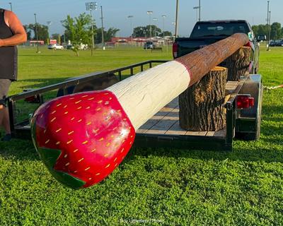 Cherokee Stickball installed at Edna M. Carson Community Park ...