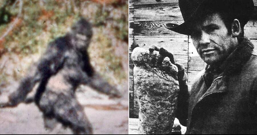 COLUMN:In the Shadows : Patterson - Gimlin Film | Community ...