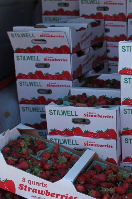The strawberries are in | News | stilwelldemocrat.com