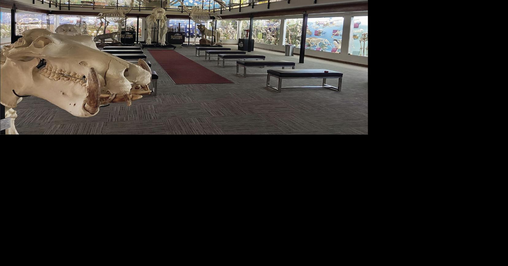 Diggin’ these bones | Community | stilwelldemocrat.com