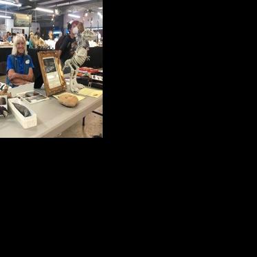 Rock and Mineral Society educates on earth science | Community ...