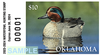 State Waterfowl Stamp Art entries due Aug. 31 | Community ...