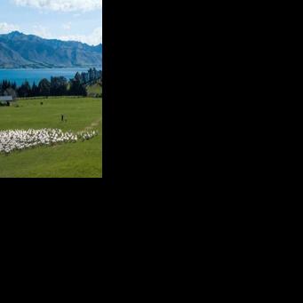 Court case challenges New Zealand's 'magical thinking' climate plans ...
