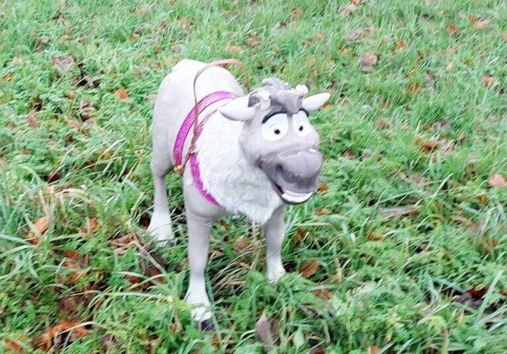 Police called to rescue dog find reindeer Sven from ‘Frozen’ instead ...