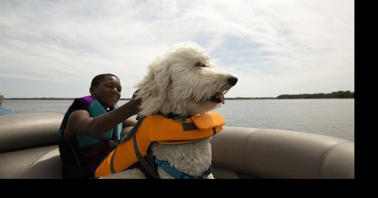 Your Guide to Boating: 5 Reasons to Visit a 2026 Boat Show Near You ...