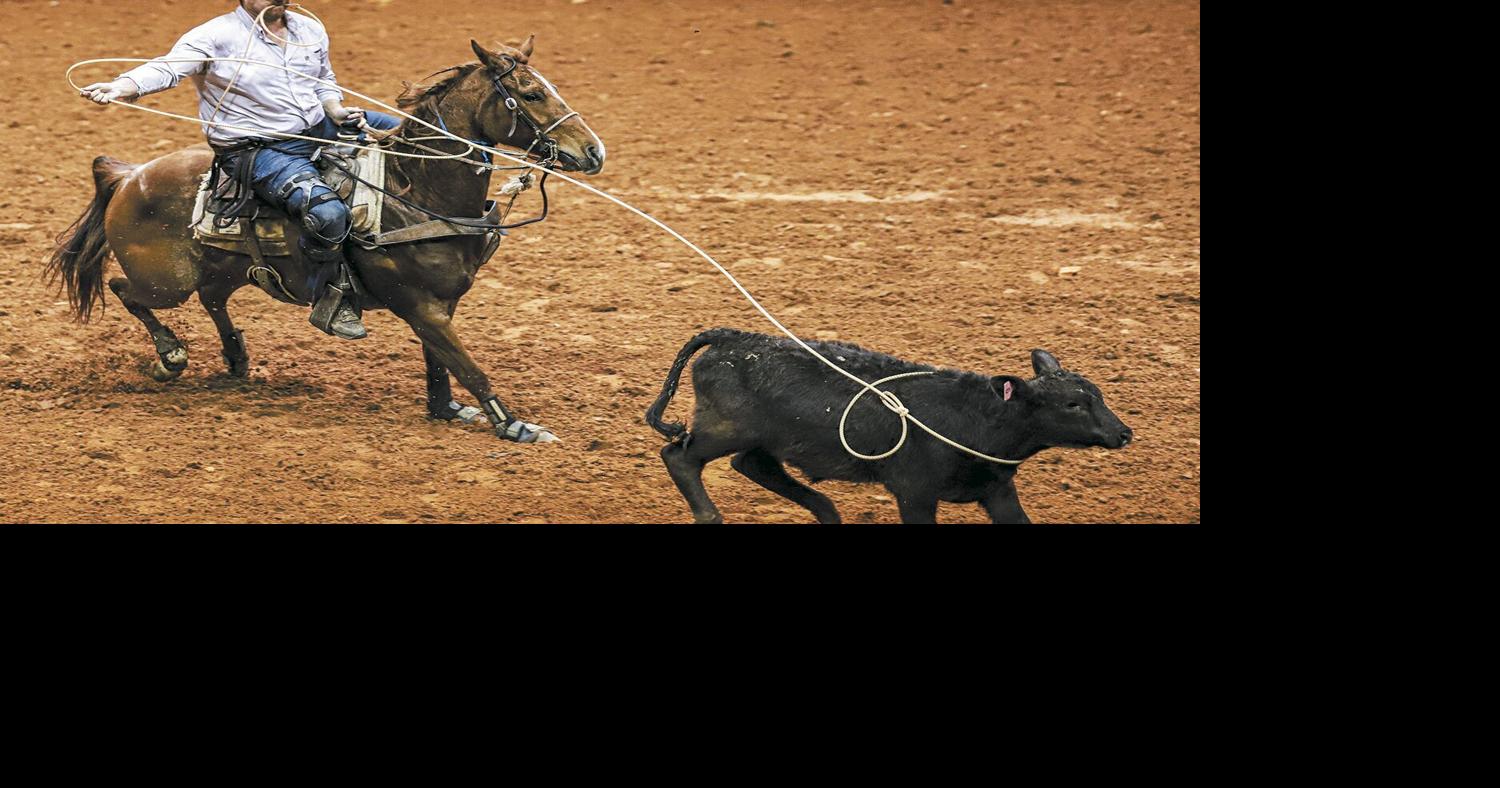 Perk 'cowboy ropes for a title | Local News | stonecountyenterprise.com
