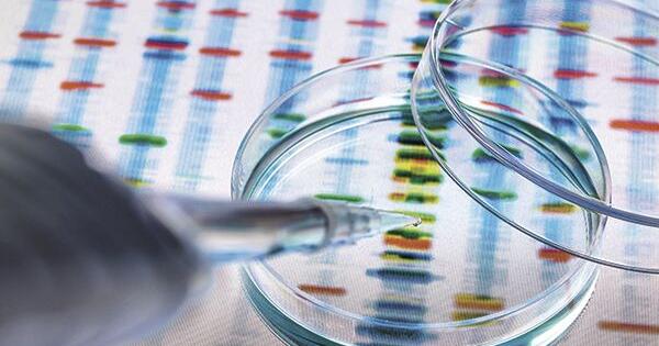 Genetics Could Unravel Mystery: "Miss Wiggins" Jane Doe Still Unsolved ...