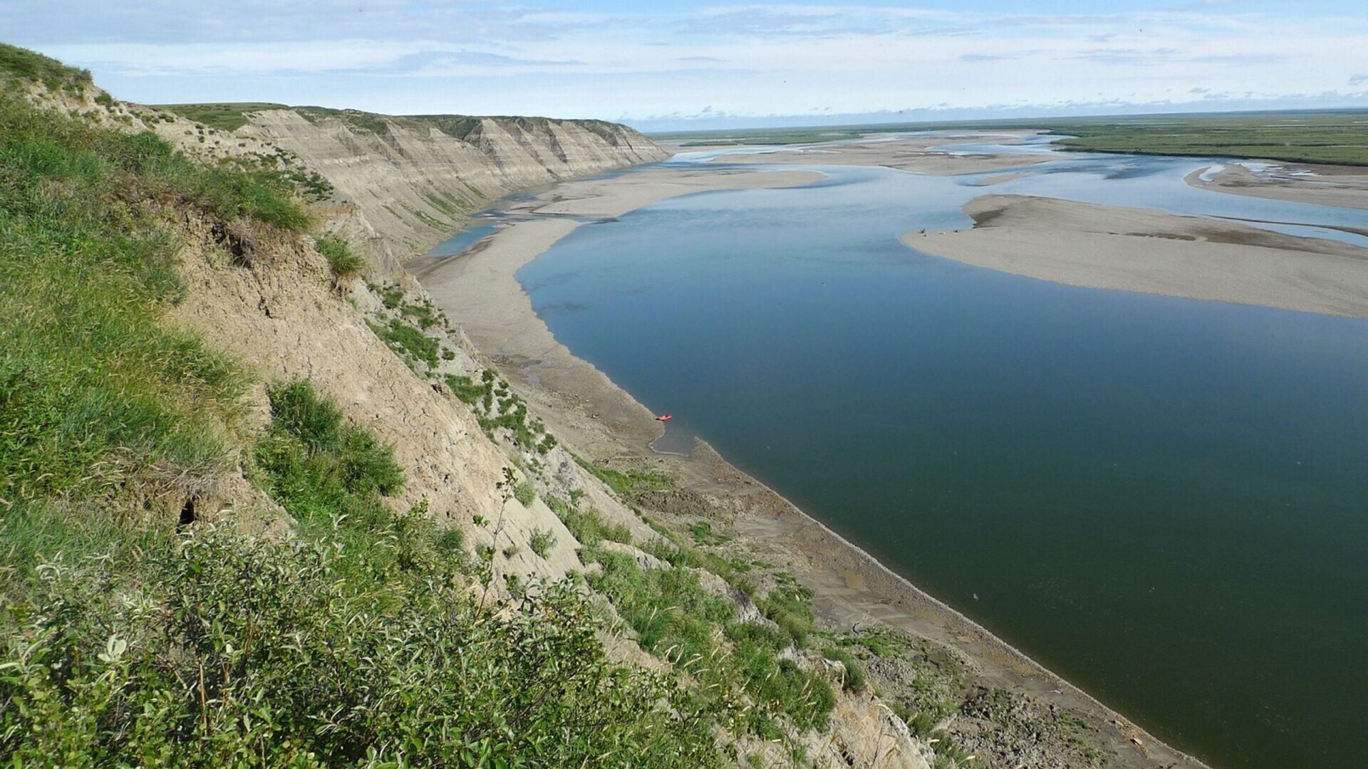 New species of ancient Arctic mammals discovered in Alaska | National ...