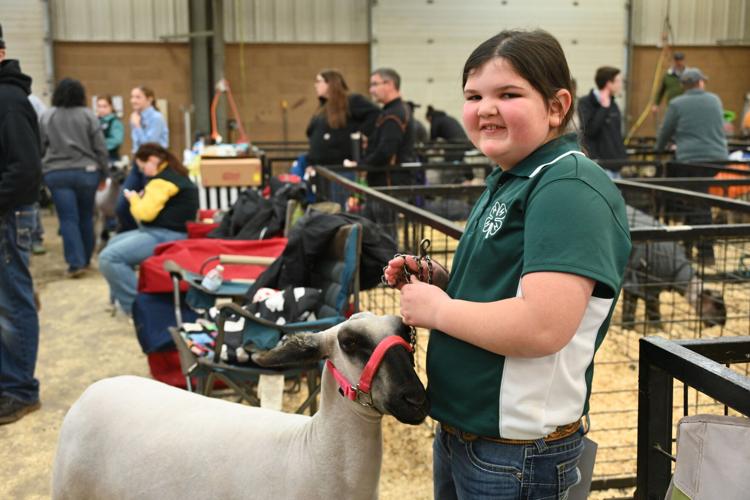 Cool and collected: Perkins 4-H member keeps positive attitude at ...