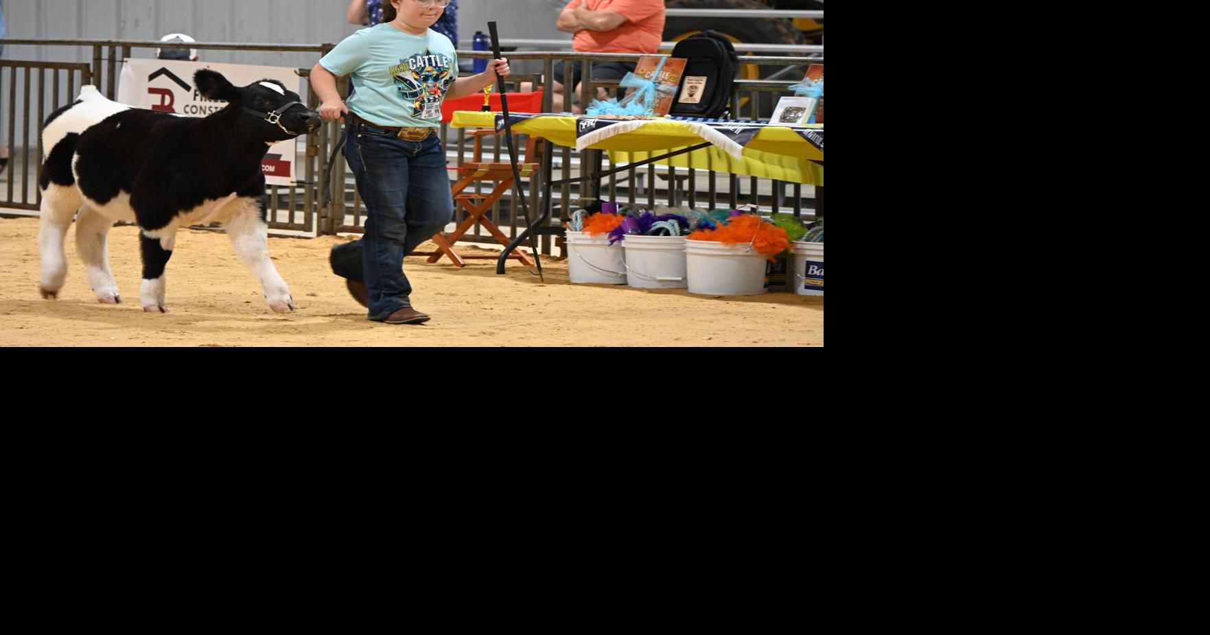 Bucket Calf Show has fewer exhibitors, while Heart of Payne County ...