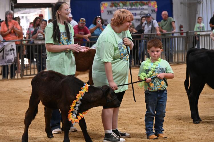Bucket Calf Show at Payne County Free Fair focused on special needs ...