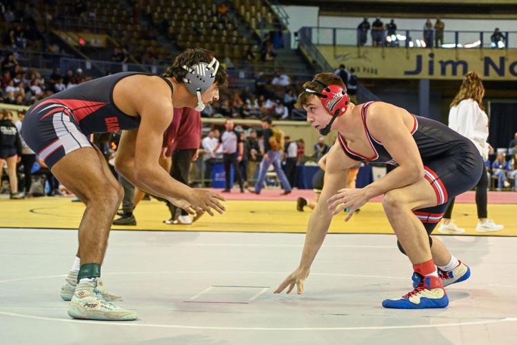 Wrestling Roundup: Local boys and girls advance in state tournament ...