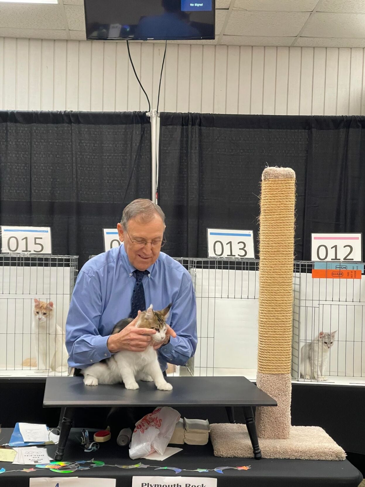 Stillwater to host The International Cat Association cat show Feb. 10 ...