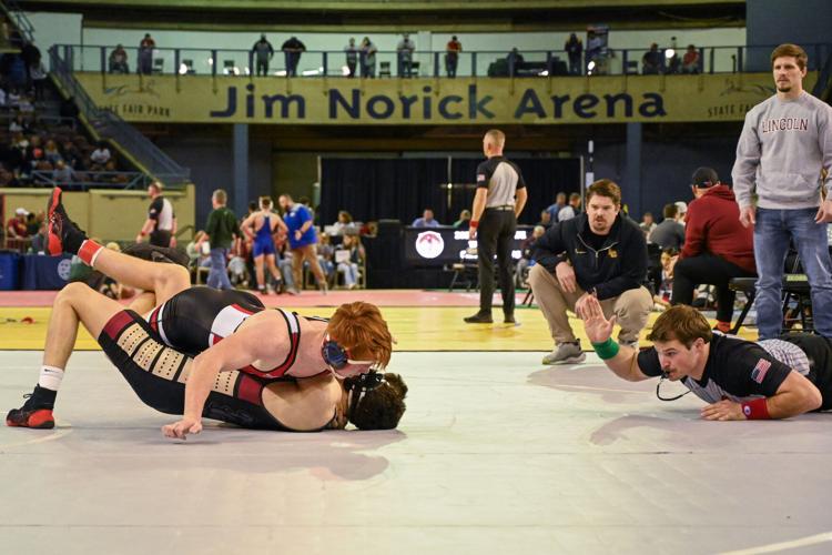 Meet the 2024 News Press All-Area Wrestling Team | Sports ...