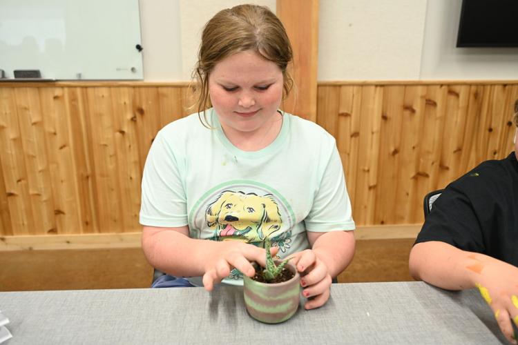 Plants and bugs camp gives students exposure to hands-on nature ...
