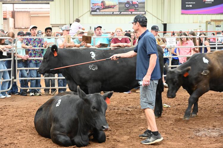 Students prepare for a future in agriculture at Big 3 Field Day | News ...