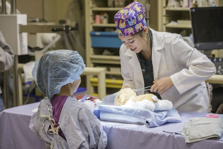 Community invited to explore OSU Vet Med at annual Open House on Oct ...