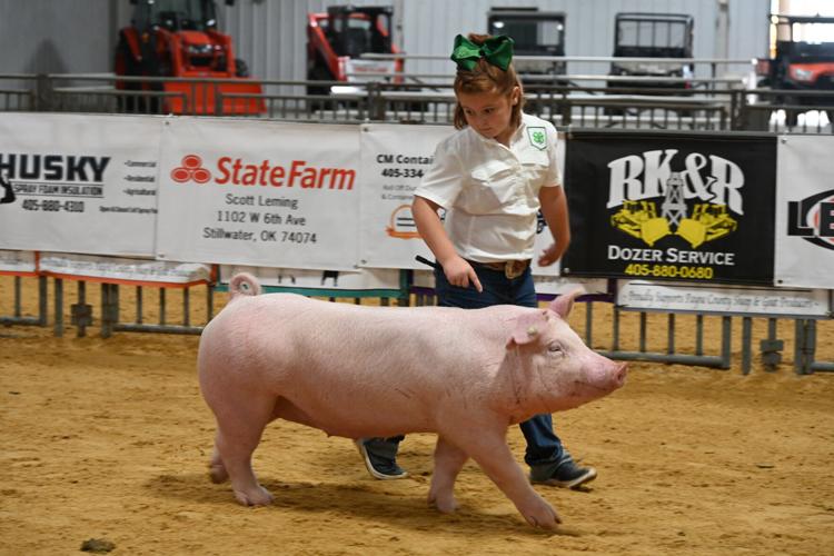 PHOTO GALLERY: 2023 Payne County Free Fair | | stwnewspress.com