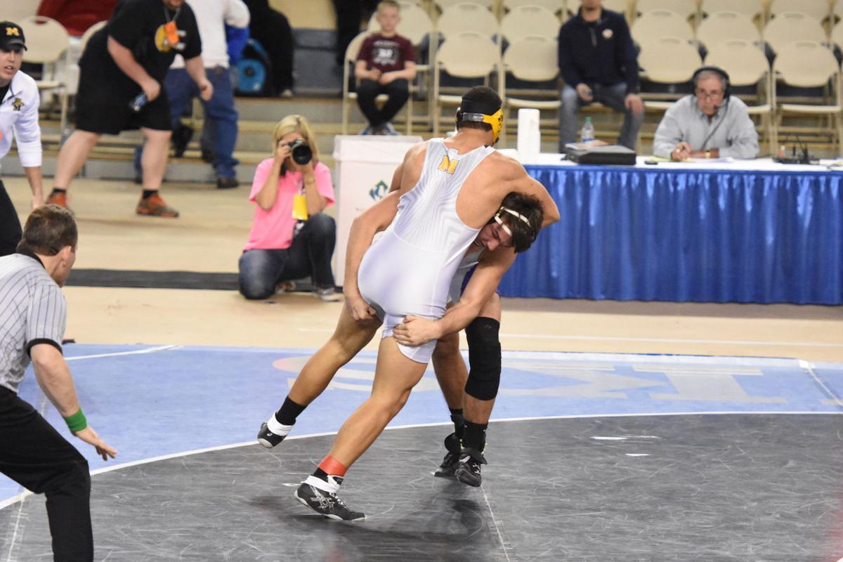 2017 State Wrestling Championships | Sports | stwnewspress.com