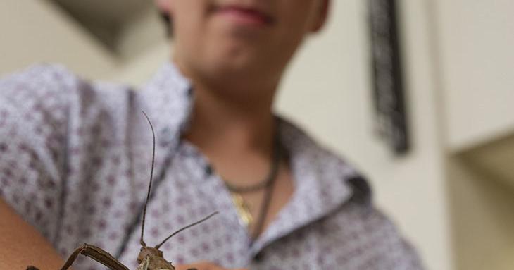 Learn more about careers in entomology at OSU open house | News ...