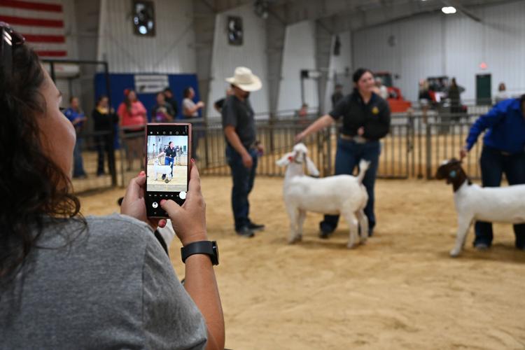 PHOTO GALLERY: 2023 Payne County Free Fair | | stwnewspress.com