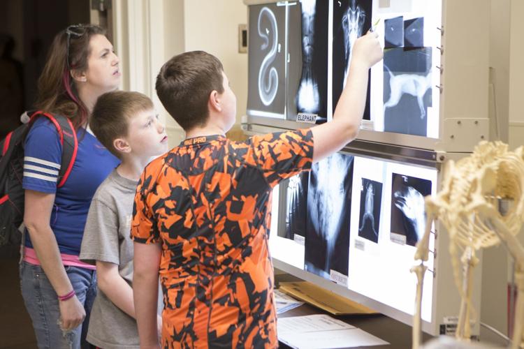 Community invited to explore OSU Vet Med at annual Open House on Oct ...