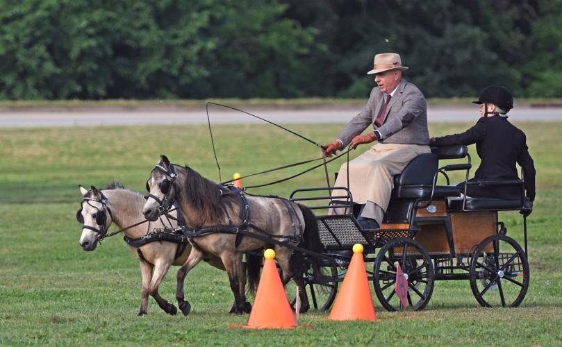 Horse driving competition | News | stwnewspress.com