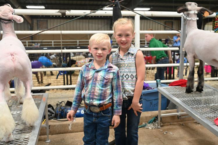 PHOTO GALLERY: 2023 Payne County Free Fair | | stwnewspress.com