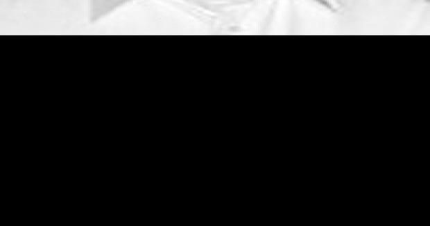 Donald Sherman Wilkey | Archives | stwnewspress.com