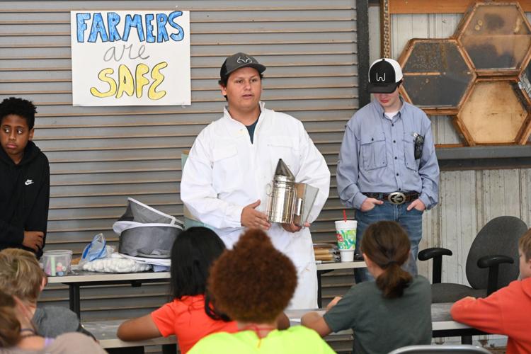 Instilling passion: FFA students give back on Agriculture Day | News ...