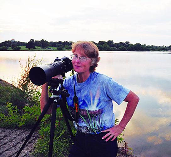 LIFE AT BOOMER LAKE: Birds moving into Payne County | Lifestyles ...
