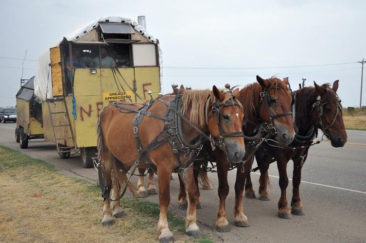 draft horses pulling wagons