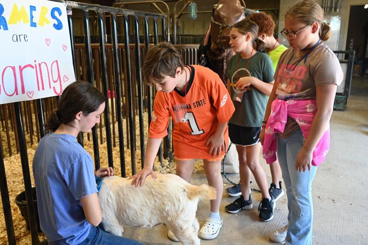 Instilling passion: FFA students give back on Agriculture Day | News ...