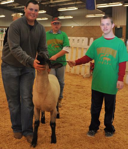 Alpha Gamma Rho Livestock Show Features Special Exhibition | Local News ...