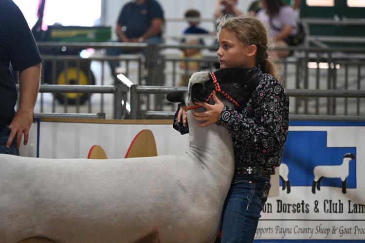 PHOTO GALLERY: 2023 Payne County Free Fair | | stwnewspress.com
