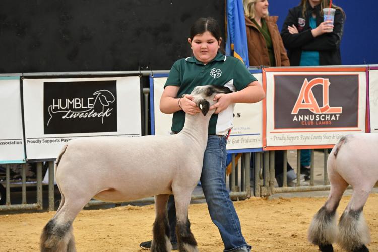 Cool and collected: Perkins 4-H member keeps positive attitude at ...