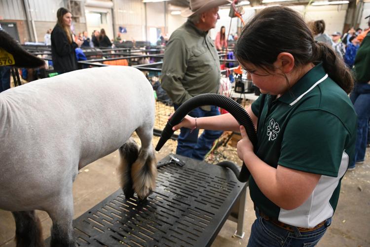 Cool and collected: Perkins 4-H member keeps positive attitude at ...