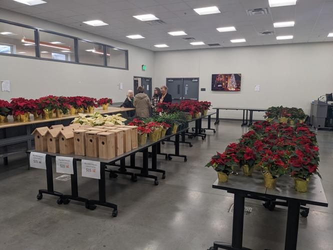 Agriculture students offer traditional holiday experience with ...