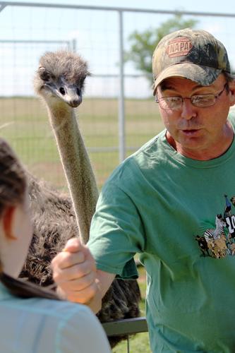 Lost Creek Safari visitors get up close and personal | News ...